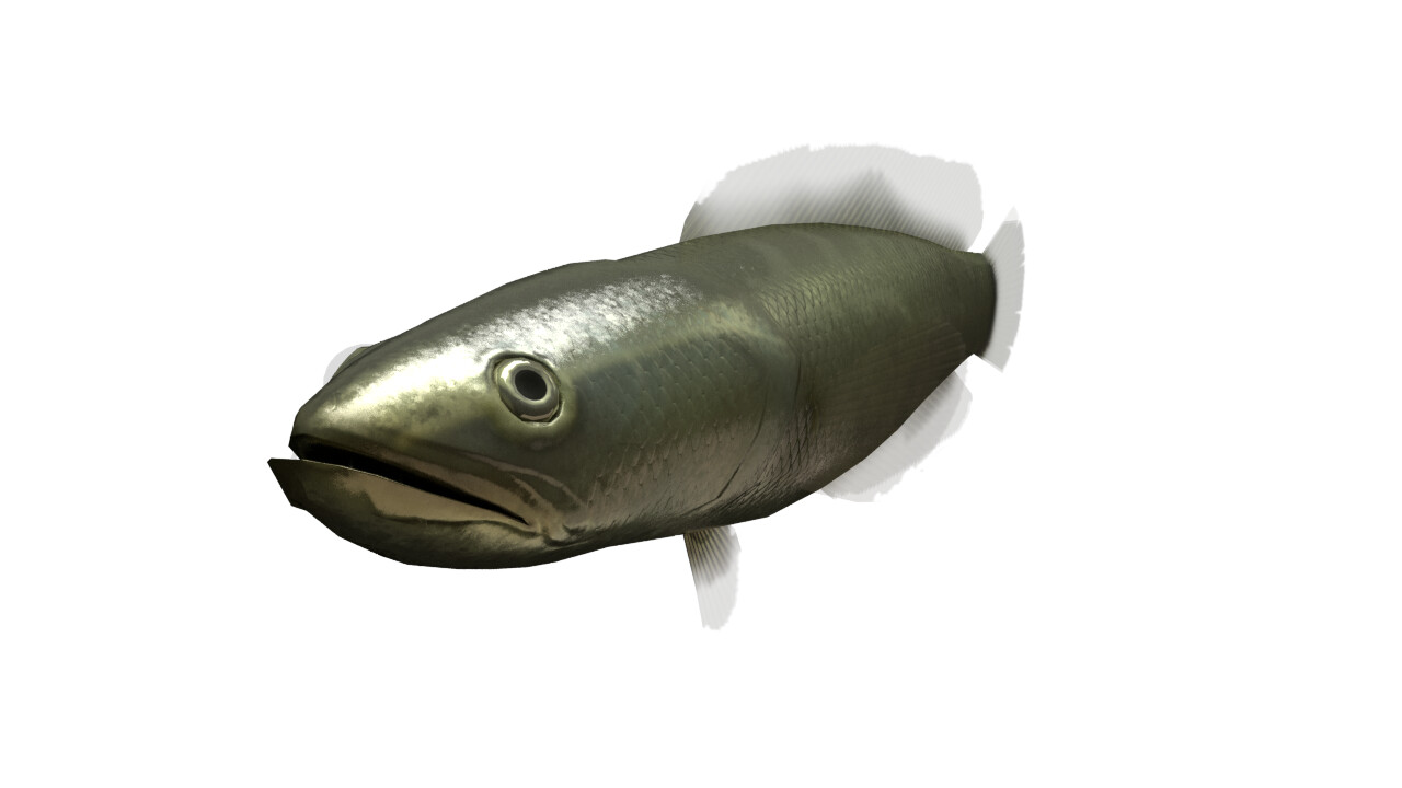 ArtStation - Loc Fish