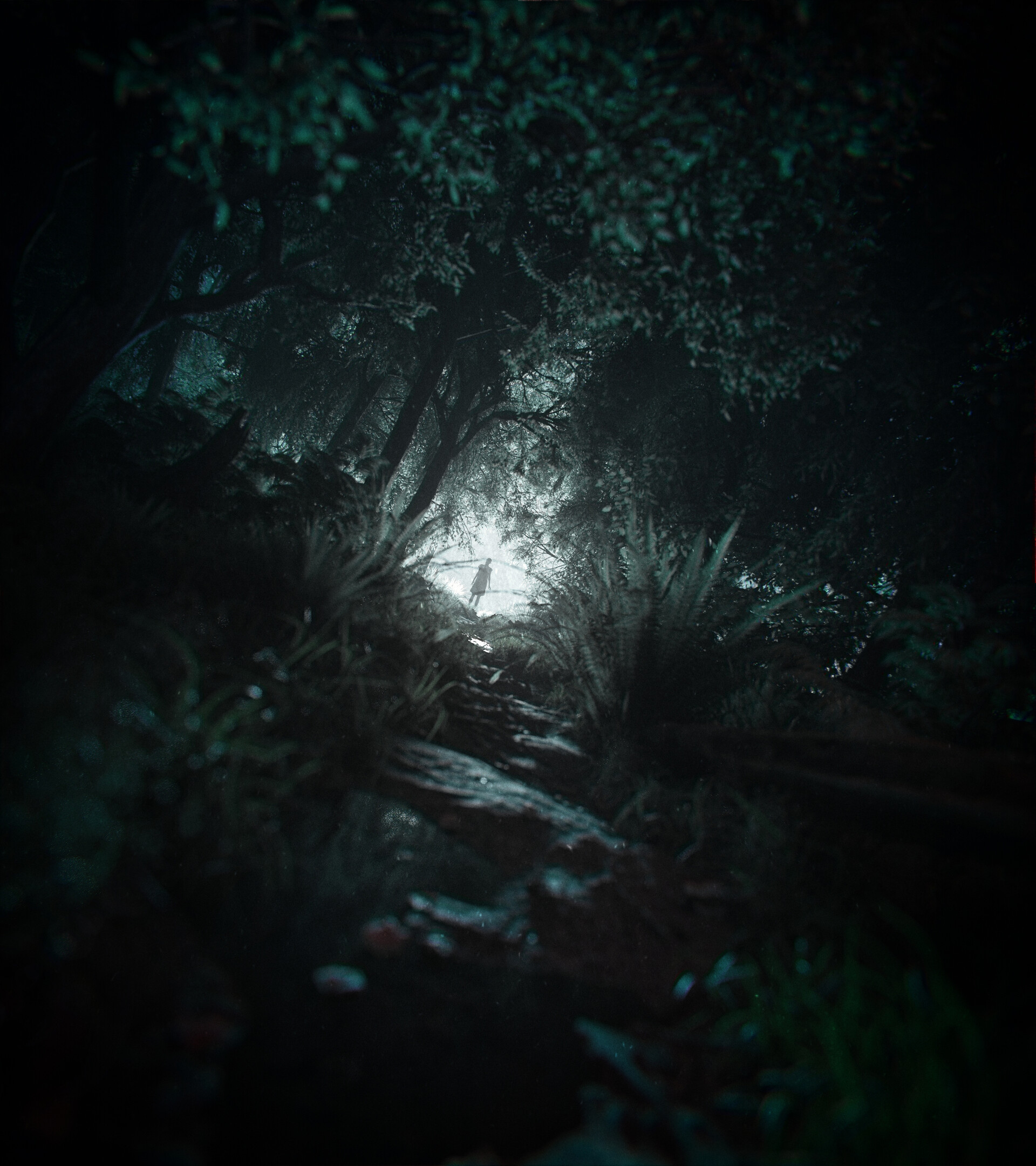 ArtStation - Haunted Forest