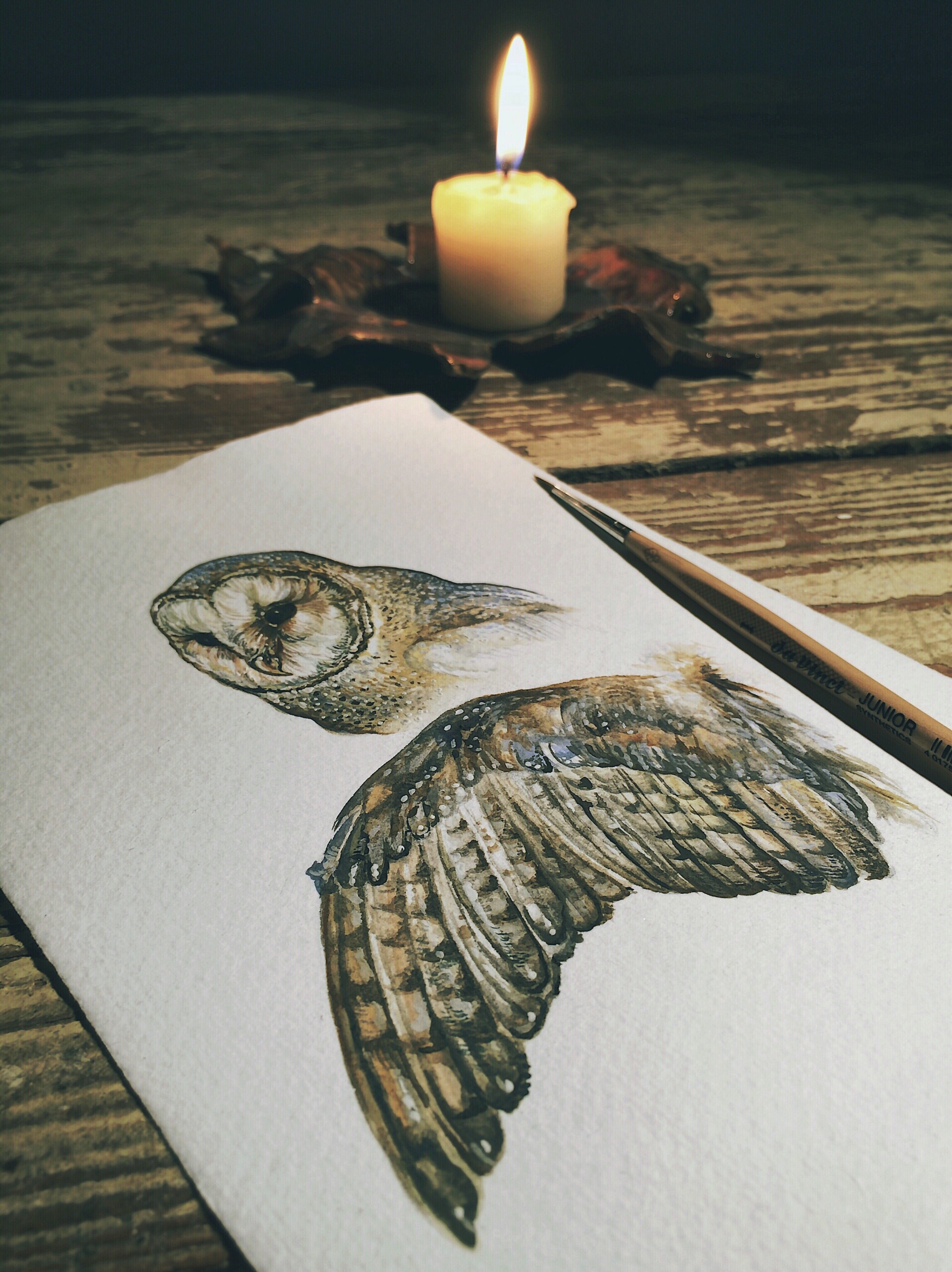 ArtStation - Barn owl study