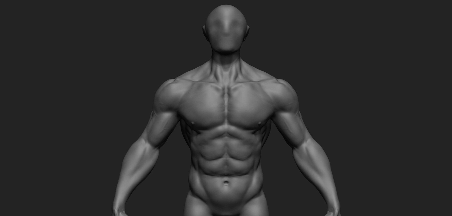 ArtStation - Anatomy Practice - Torso