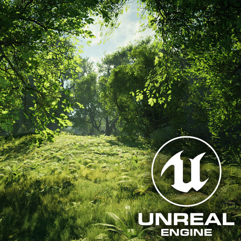 ArtStation - Wild Oak Trees - Unreal Engine 4