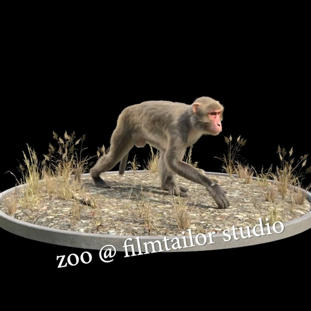 ArtStation - Macaque - Texturing