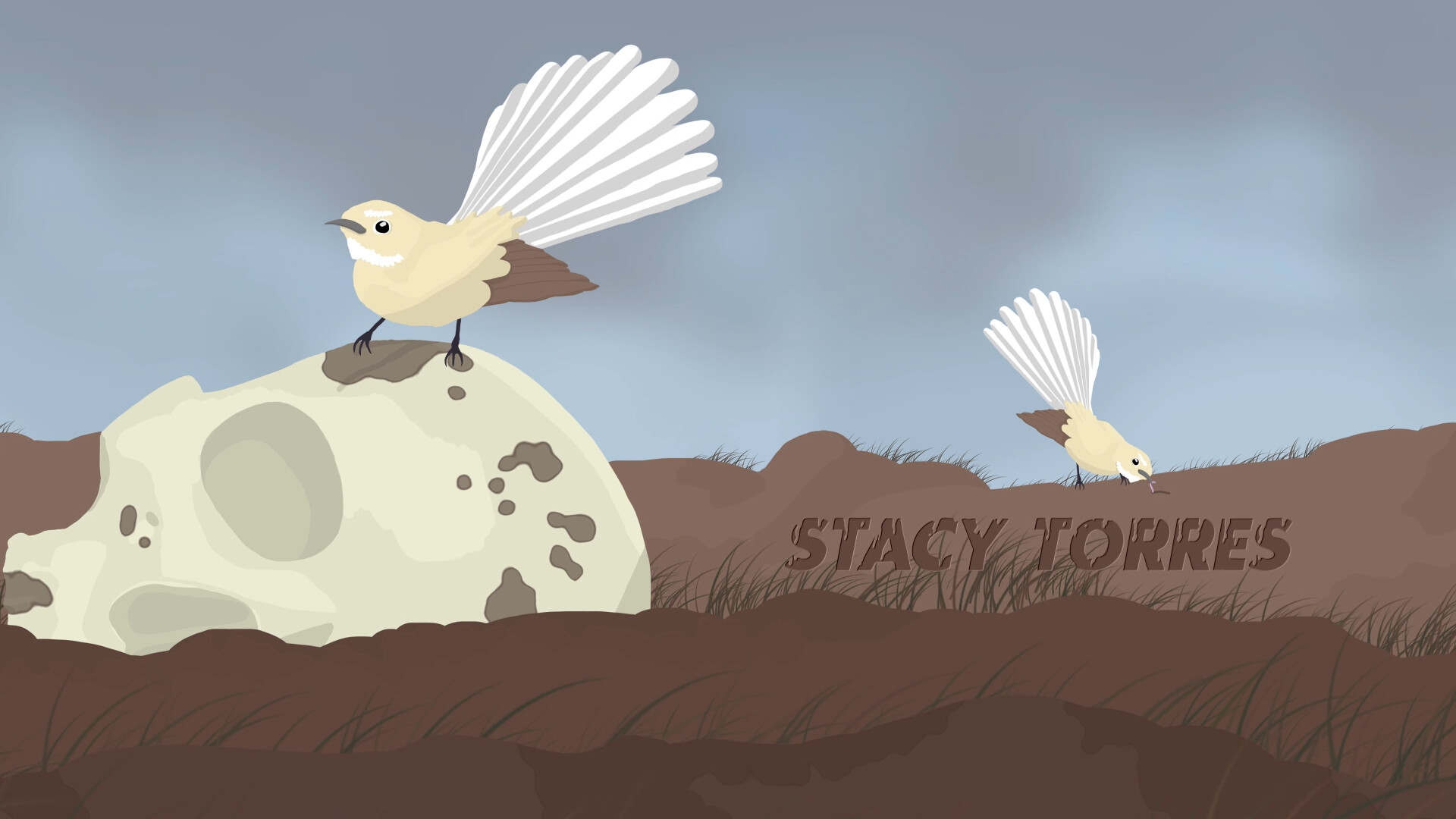 Tom Coe - Title Sequence Concept