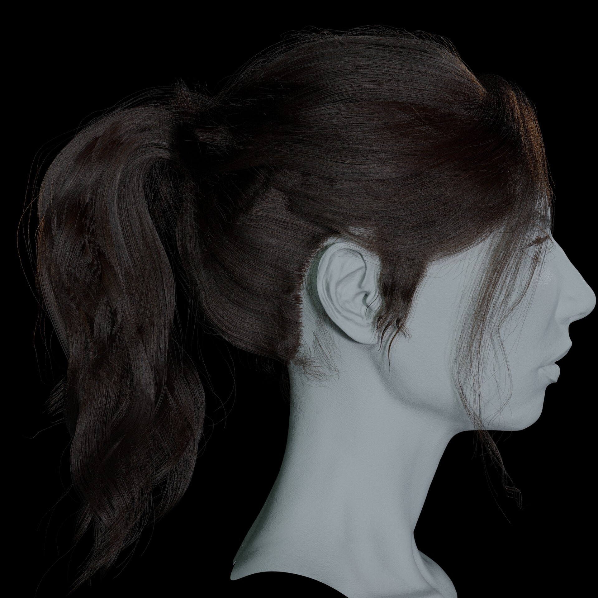 ArtStation - Ponytail