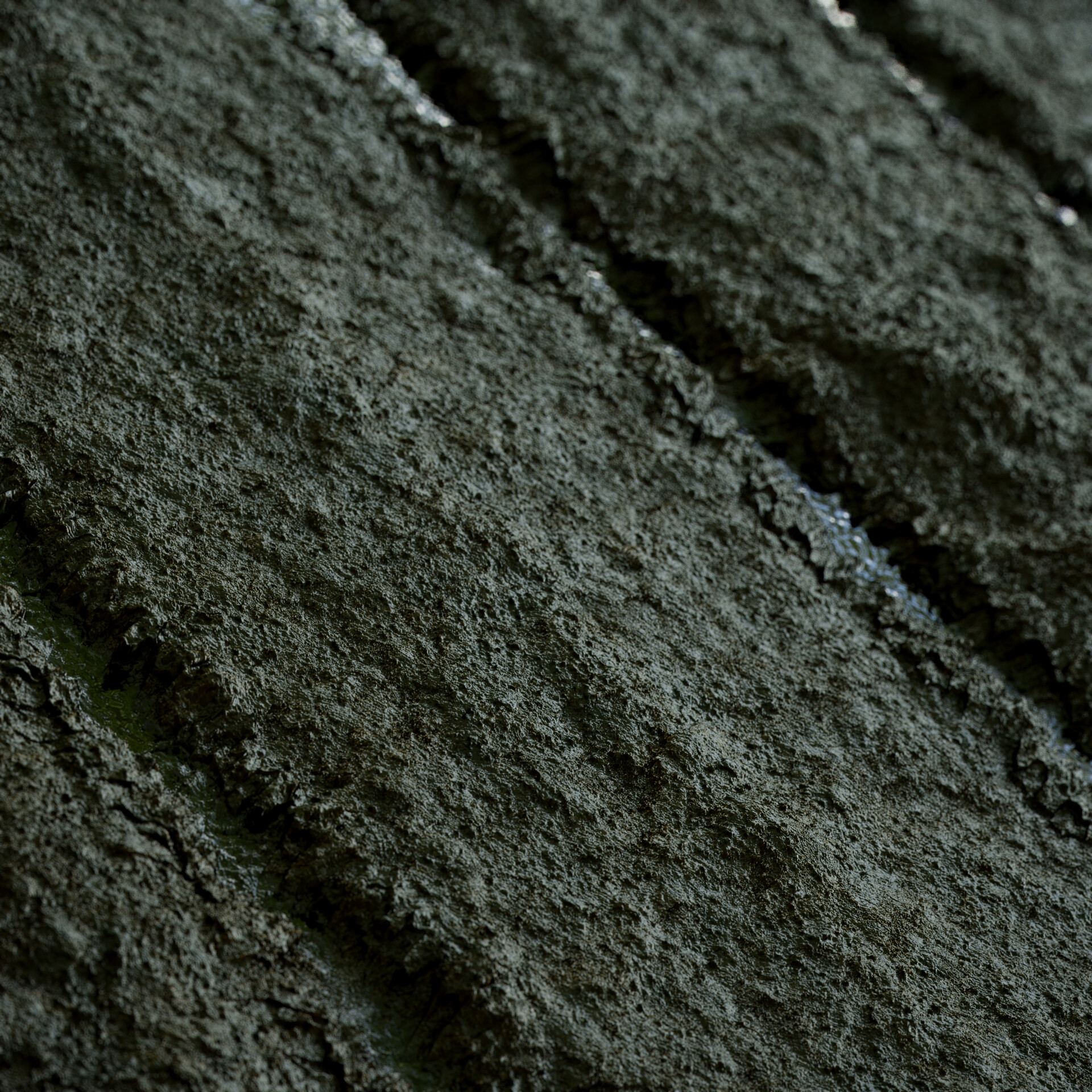 ArtStation - Mud Path