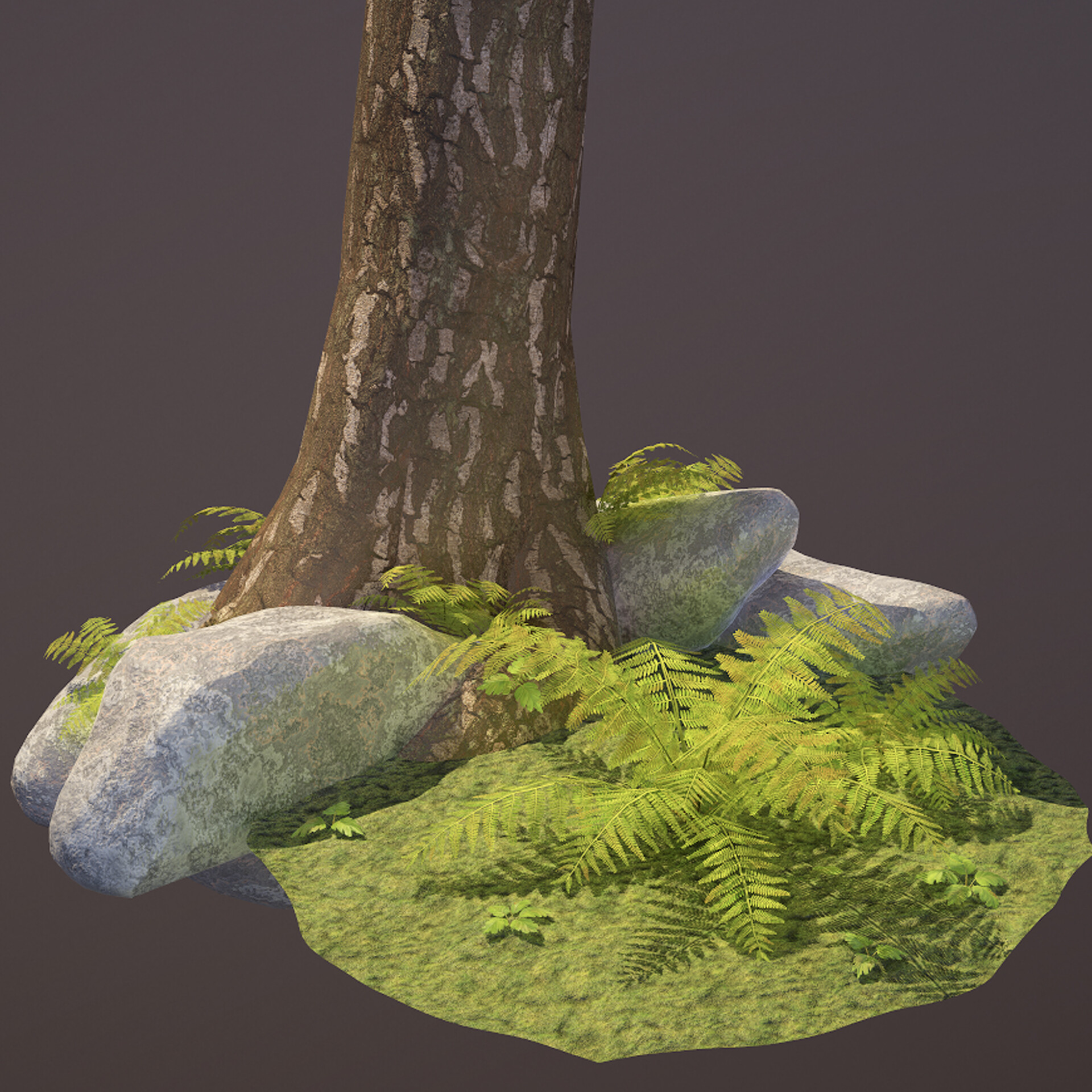 ArtStation - Fern Scene - Game Ready