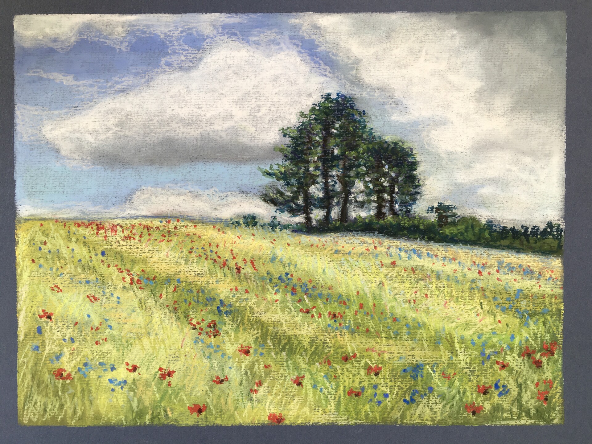 ArtStation - Poppy Field Landscape