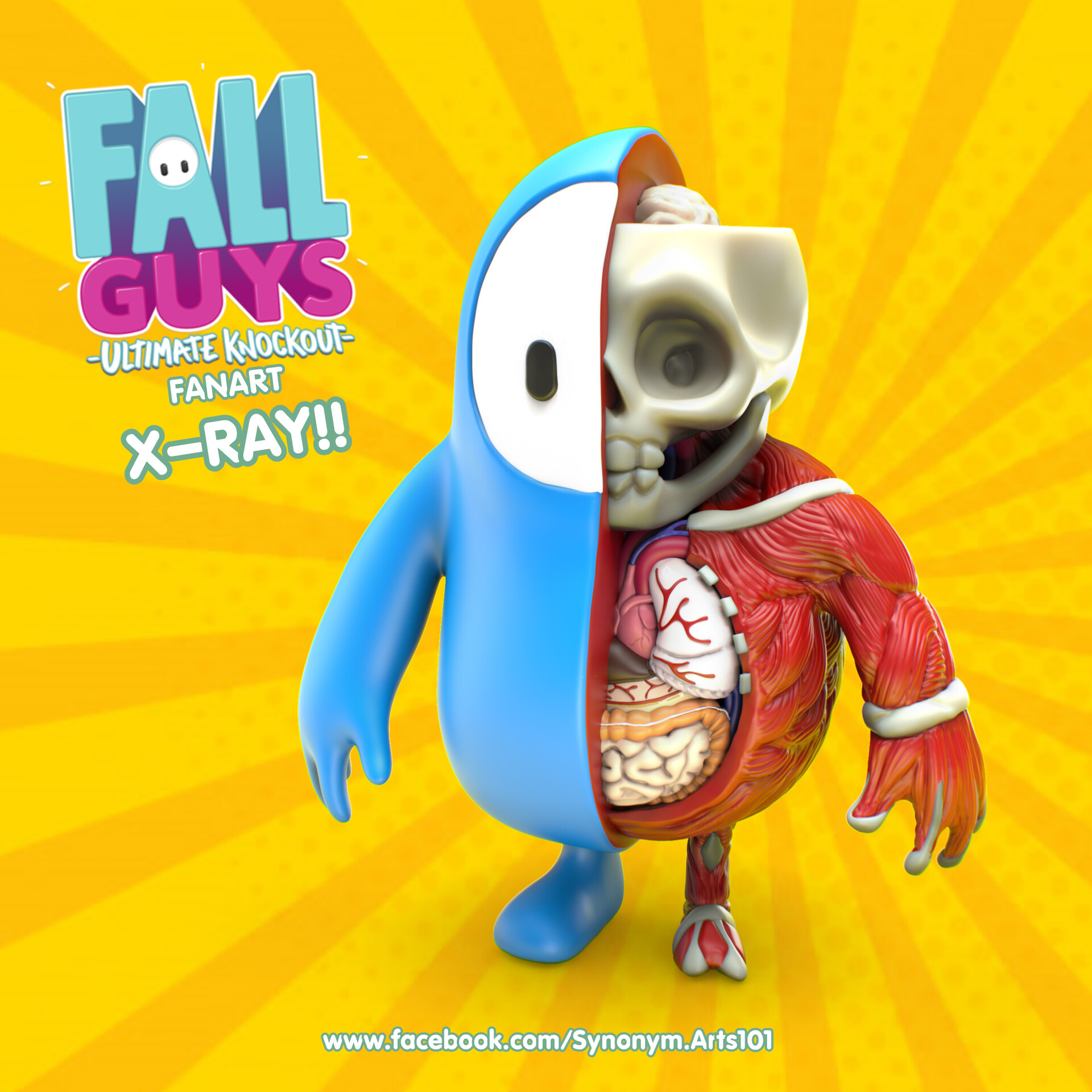 ArtStation - Fallguys X-ray | Fan Art!!