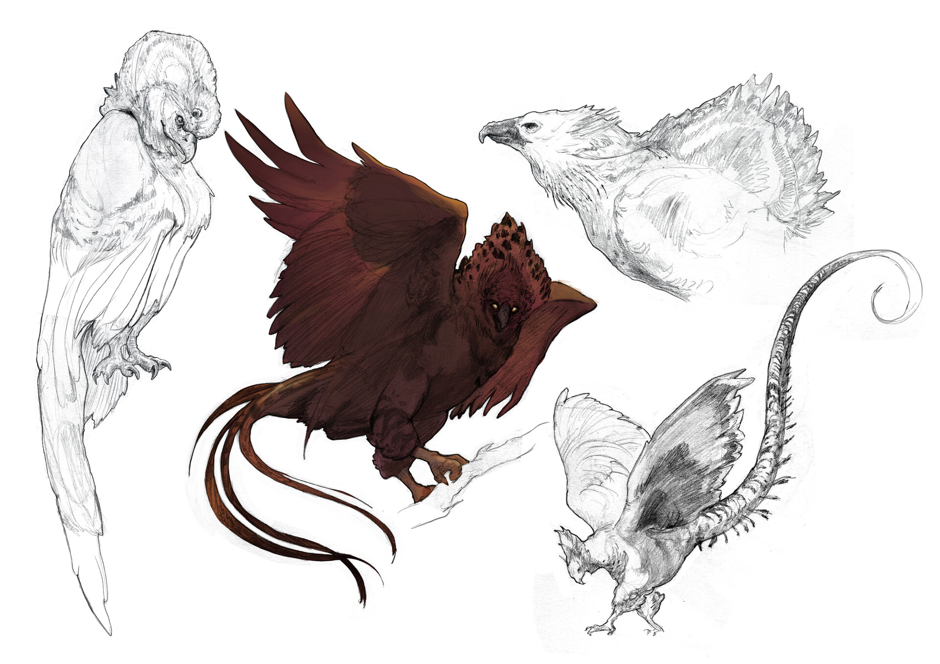 ArtStation - Creature Design Concepts