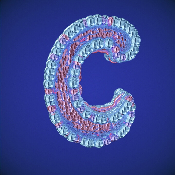 ArtStation - C - 36 Days of Type