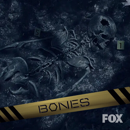 ArtStation - Bones - Ident