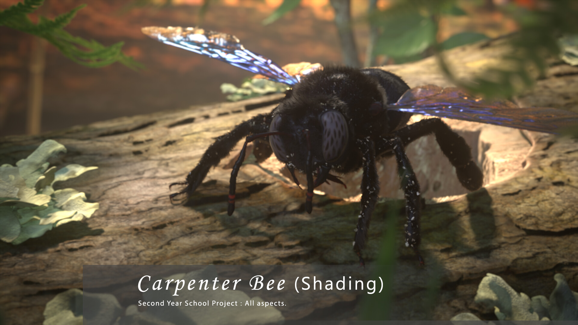 ArtStation - Carpenter Bee (Insect Shading)