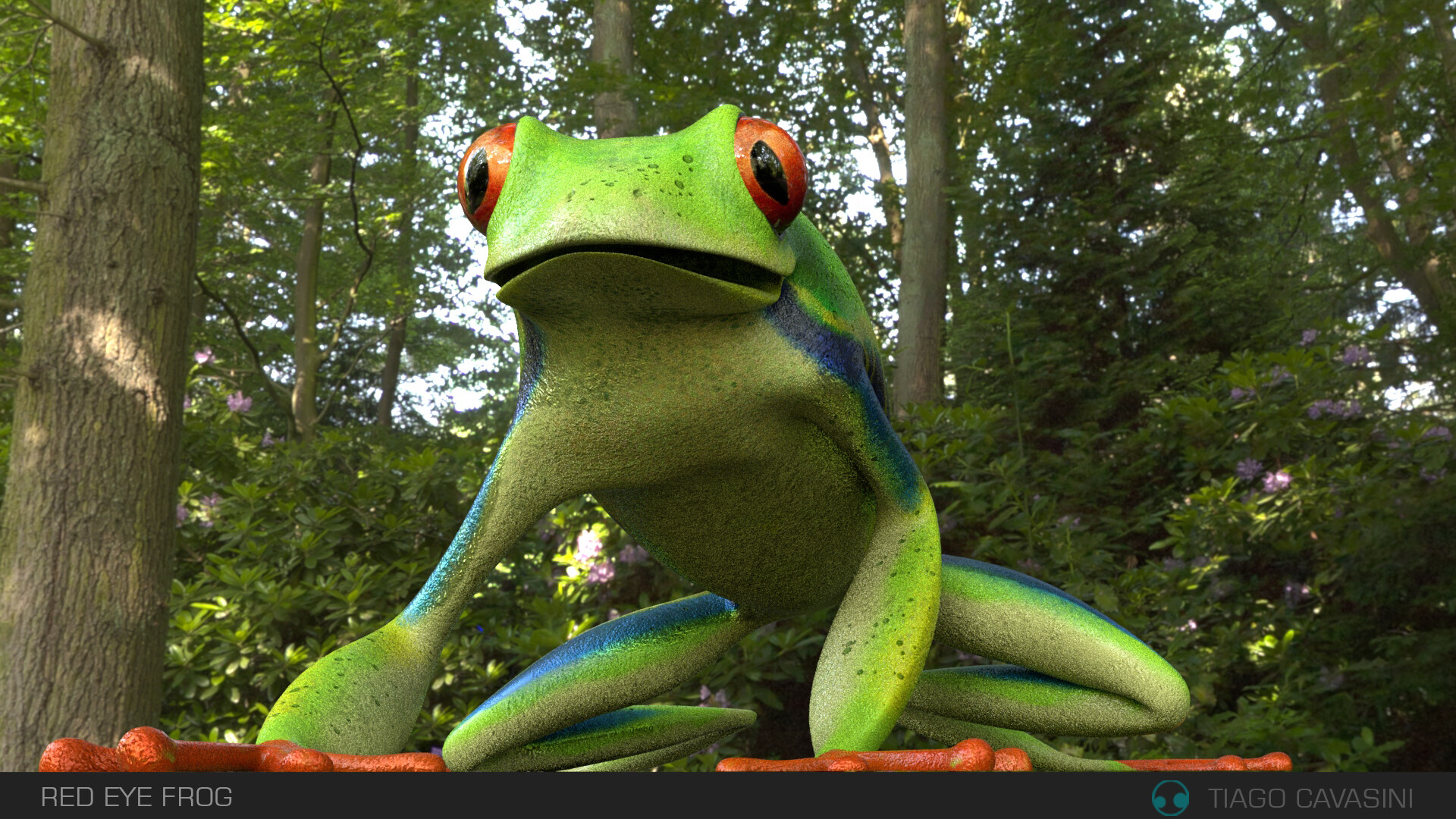 ArtStation - RED EYE FROG