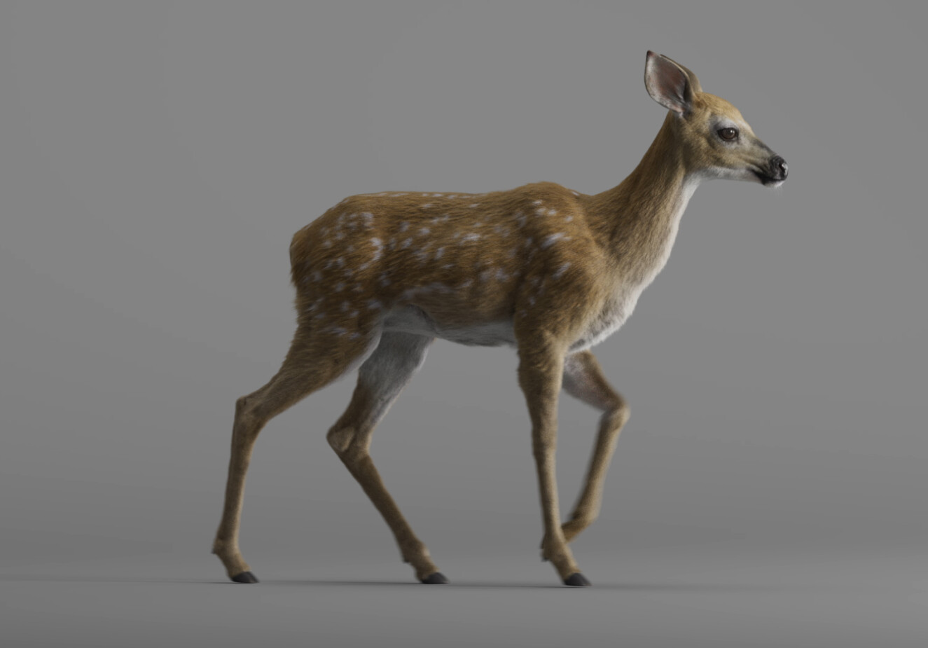 ArtStation - Cursed - Fawn asset