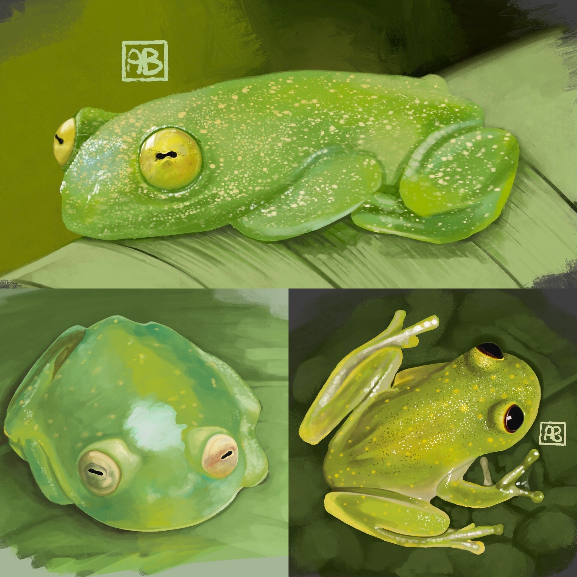 ArtStation - Frog studies
