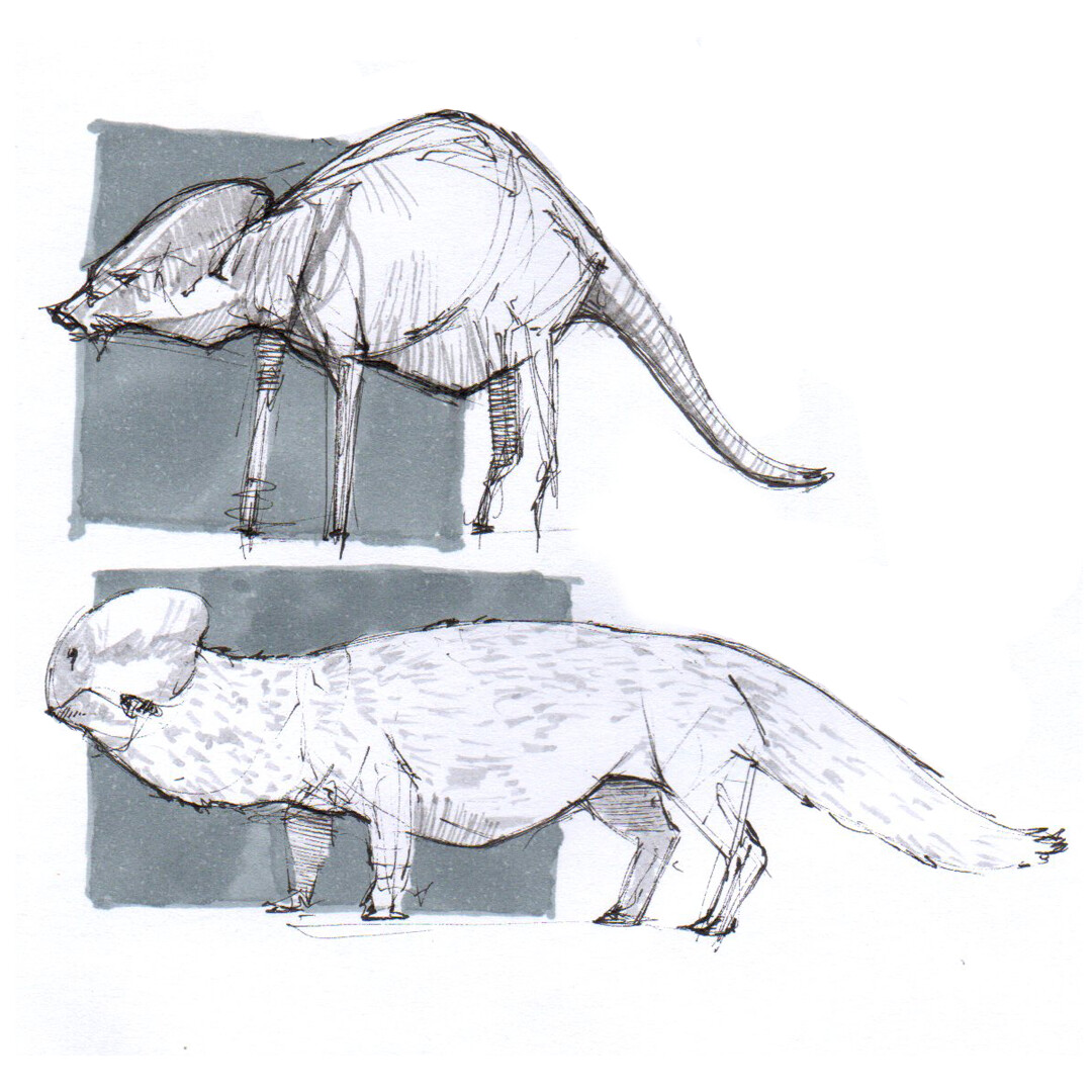 ArtStation - Creature sketches from my sketchbook