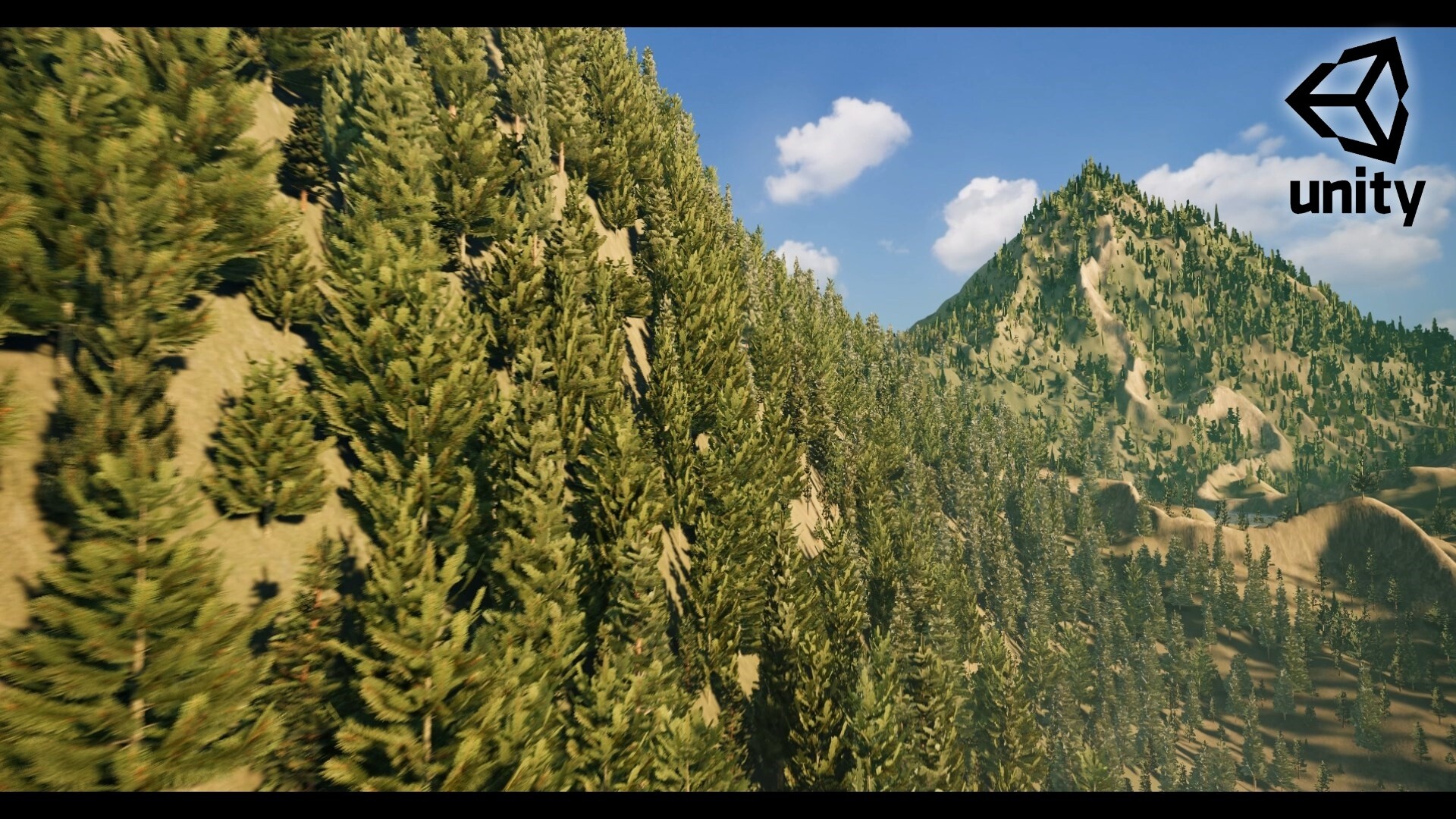 ArtStation - Terrain made in Unity (HDRP) coniferous forest