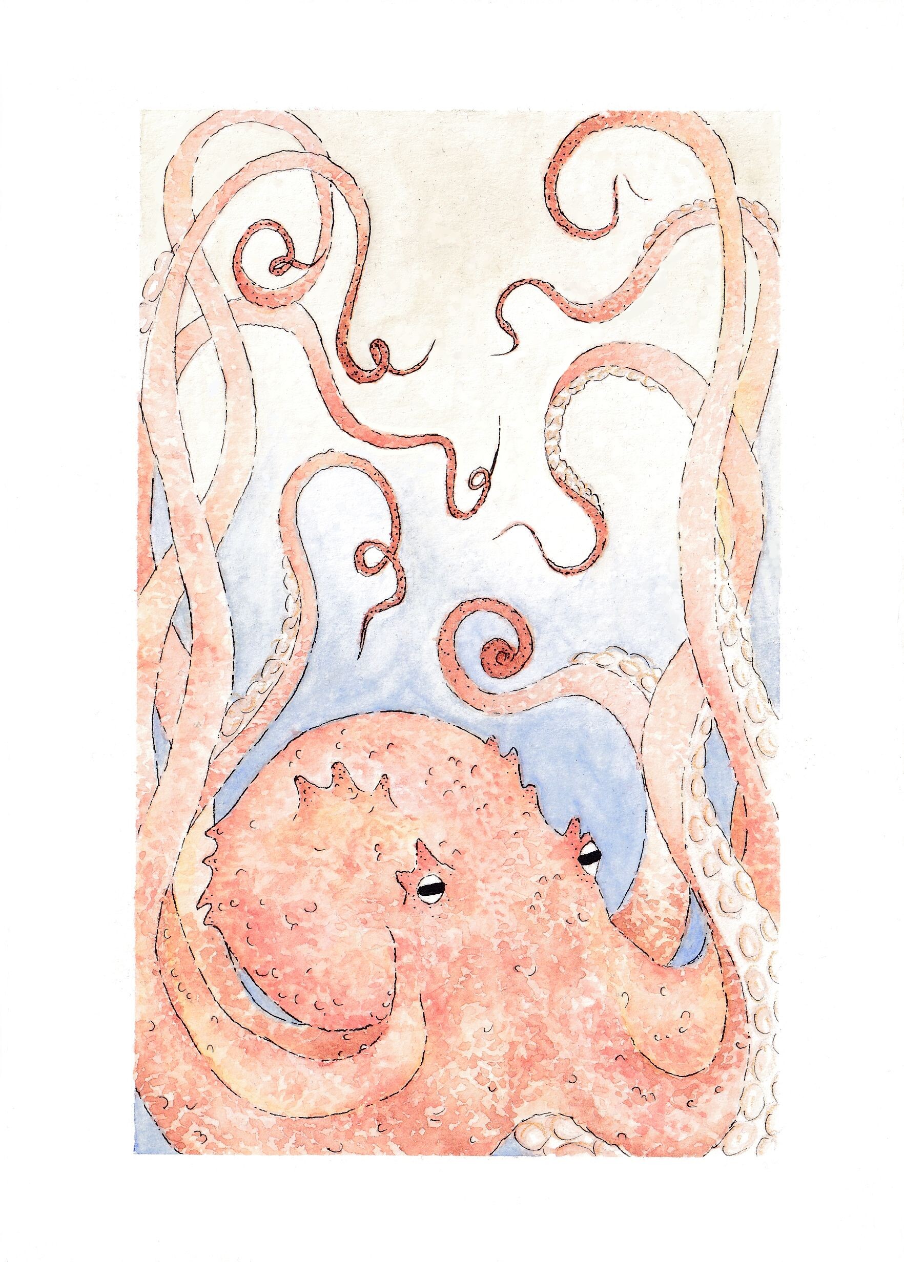 ArtStation - Octopus Studies