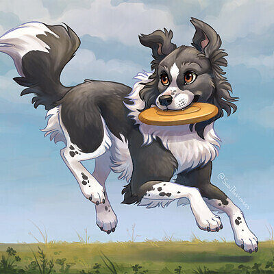 ArtStation - Border collie catching frisbee