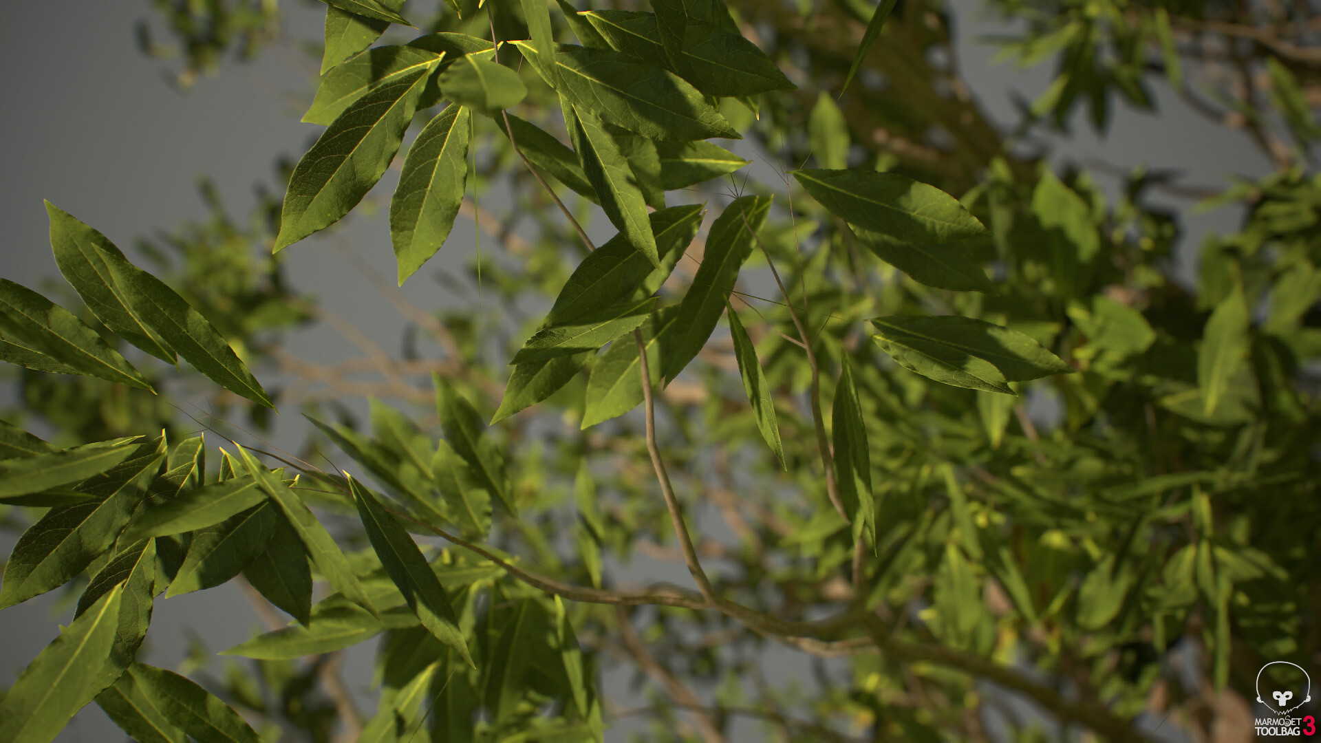 ArtStation - 3D Realistic Tree