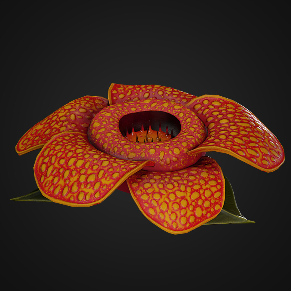 ArtStation - Rafflesia