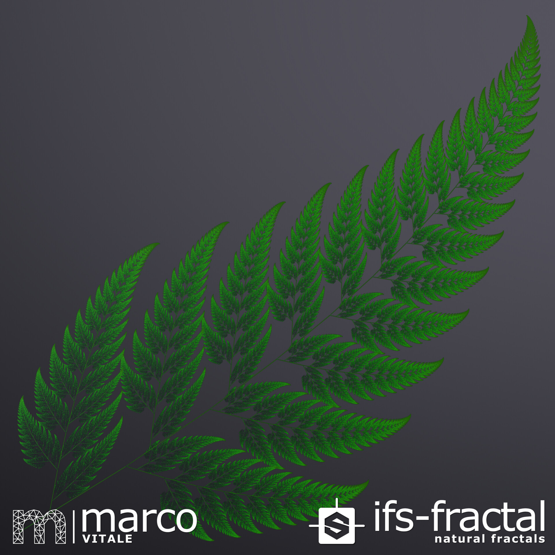 ArtStation - IFS-Fractal - Natural Fractal Generator (Free)