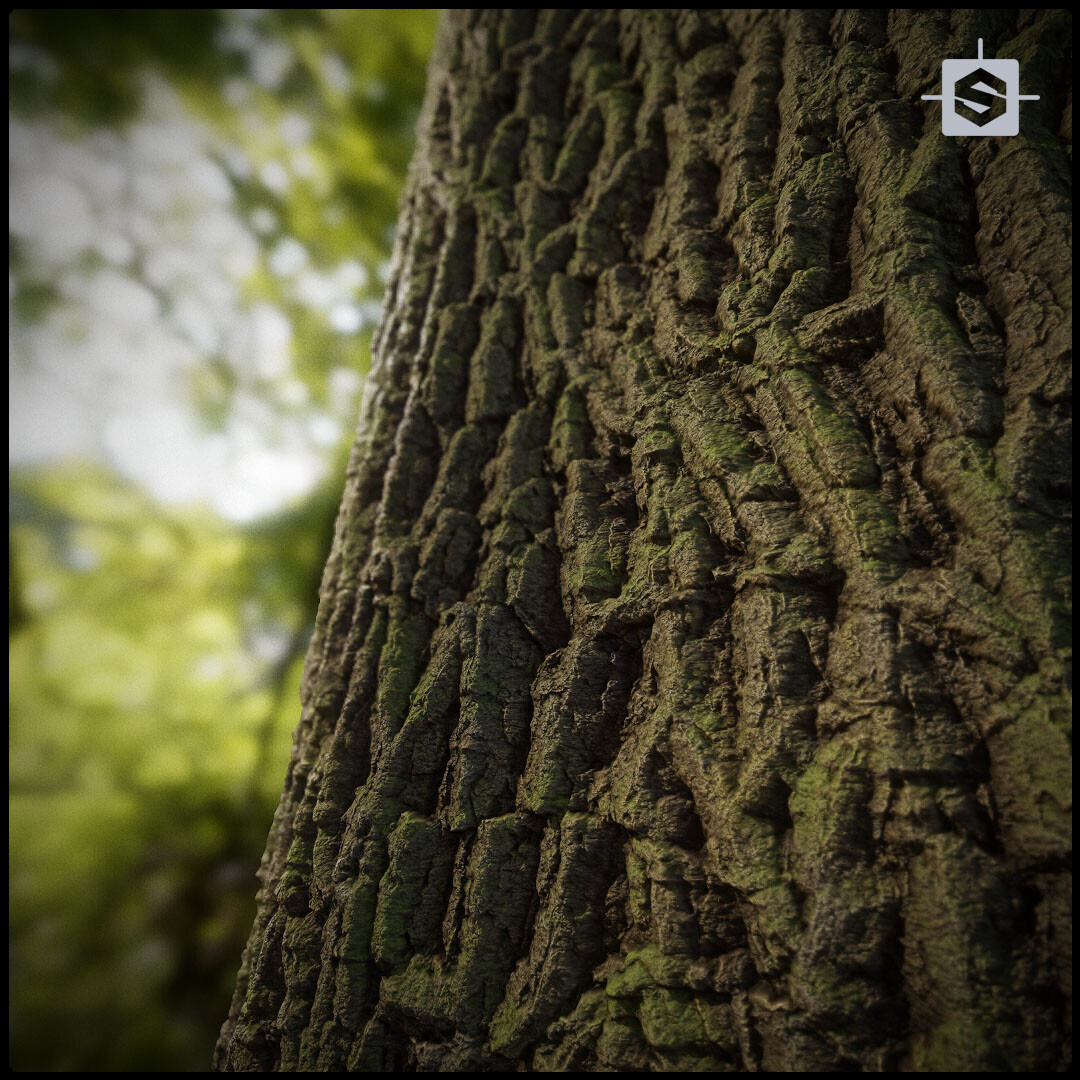 ArtStation - Substance Designer - Ridged Bark