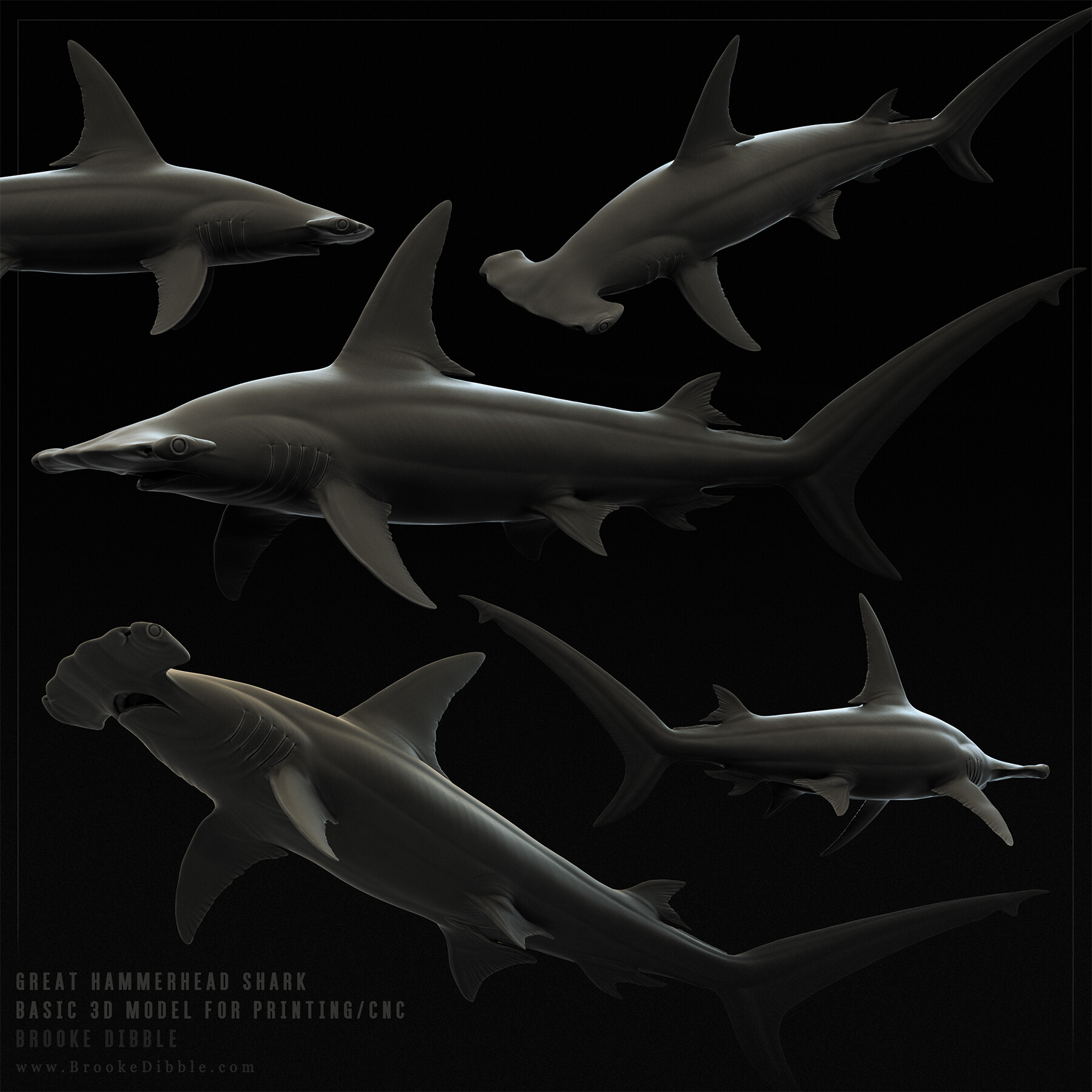 ArtStation - Great Hammerhead Shark digital sculpts
