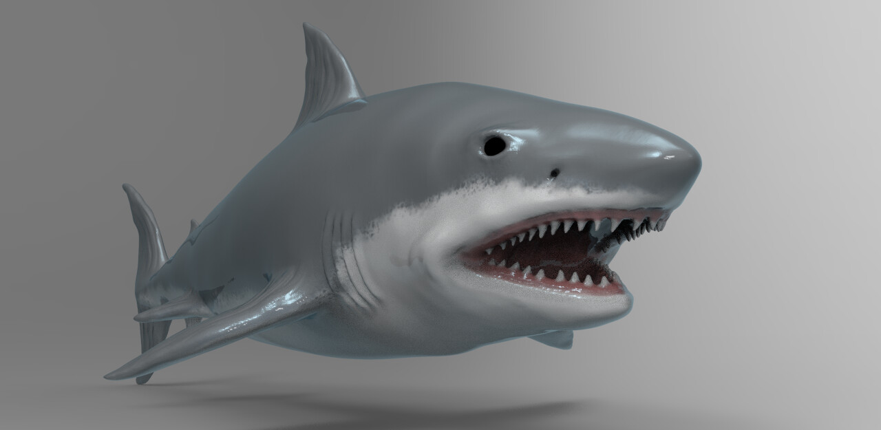 ArtStation - 3D Shark