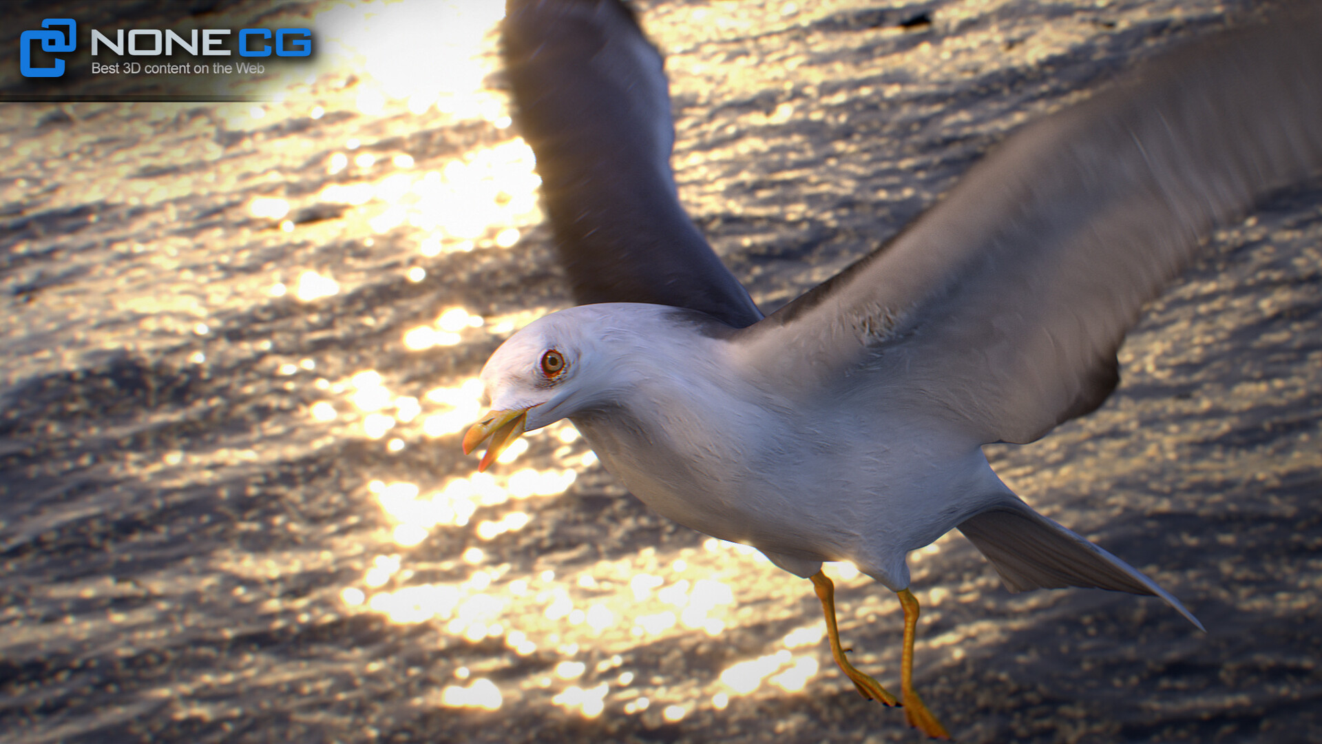 ArtStation - 3D Animated Seagull