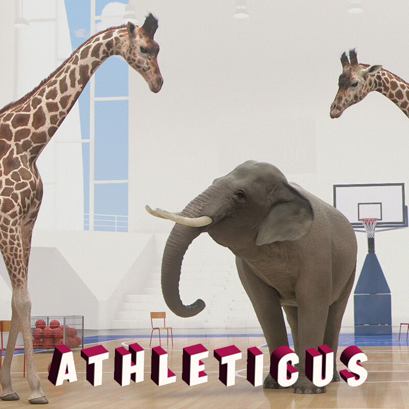 ArtStation - Athleticus - Animals for TV Series