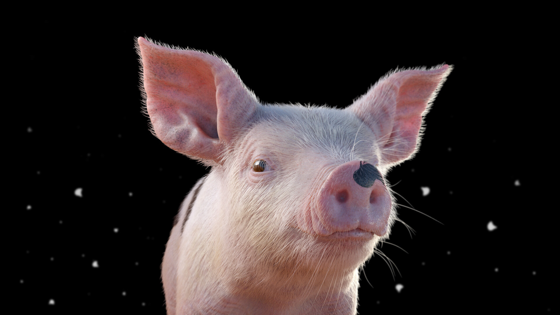 ArtStation - pig