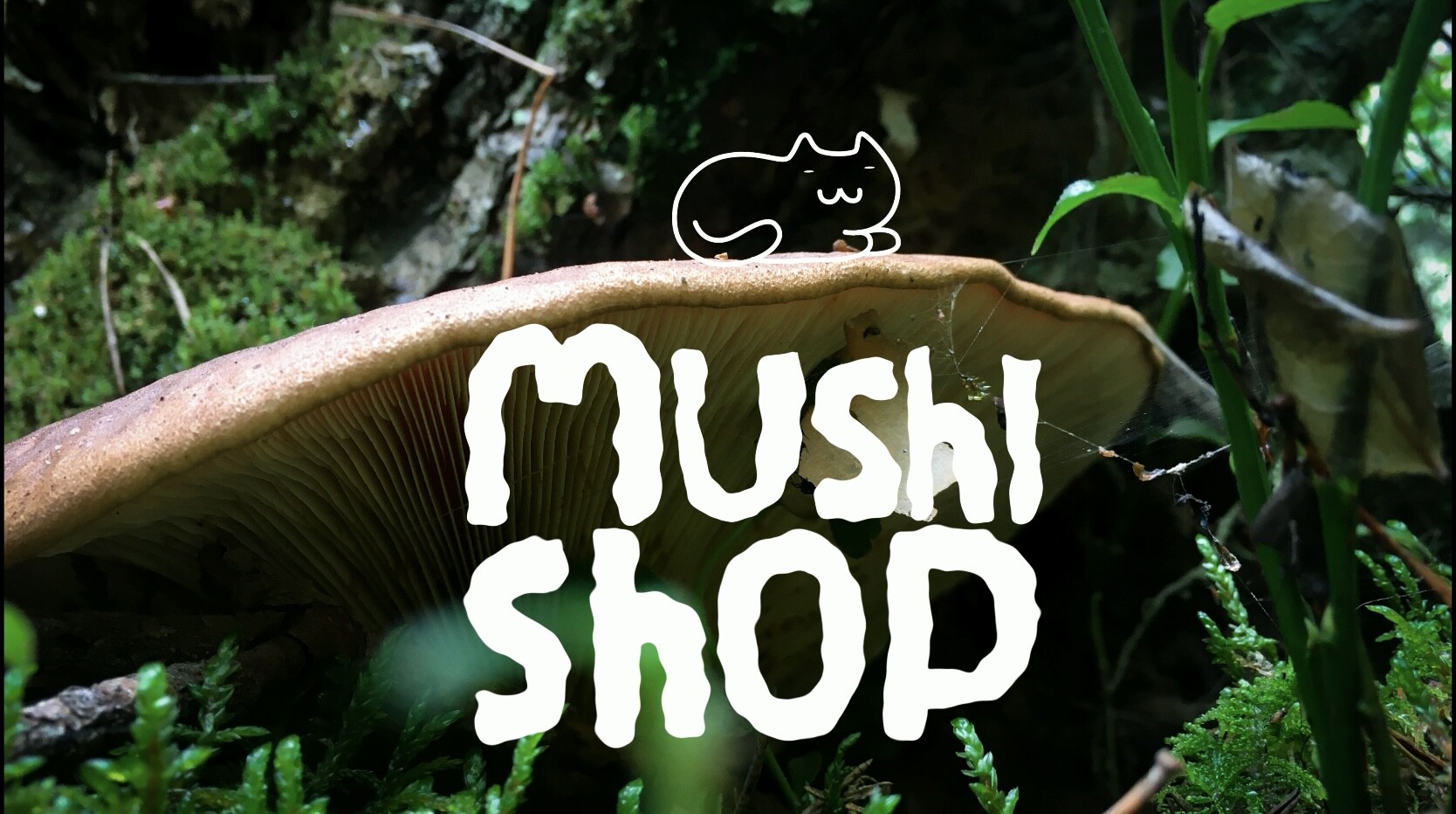 ArtStation - Mushi shop logo animation