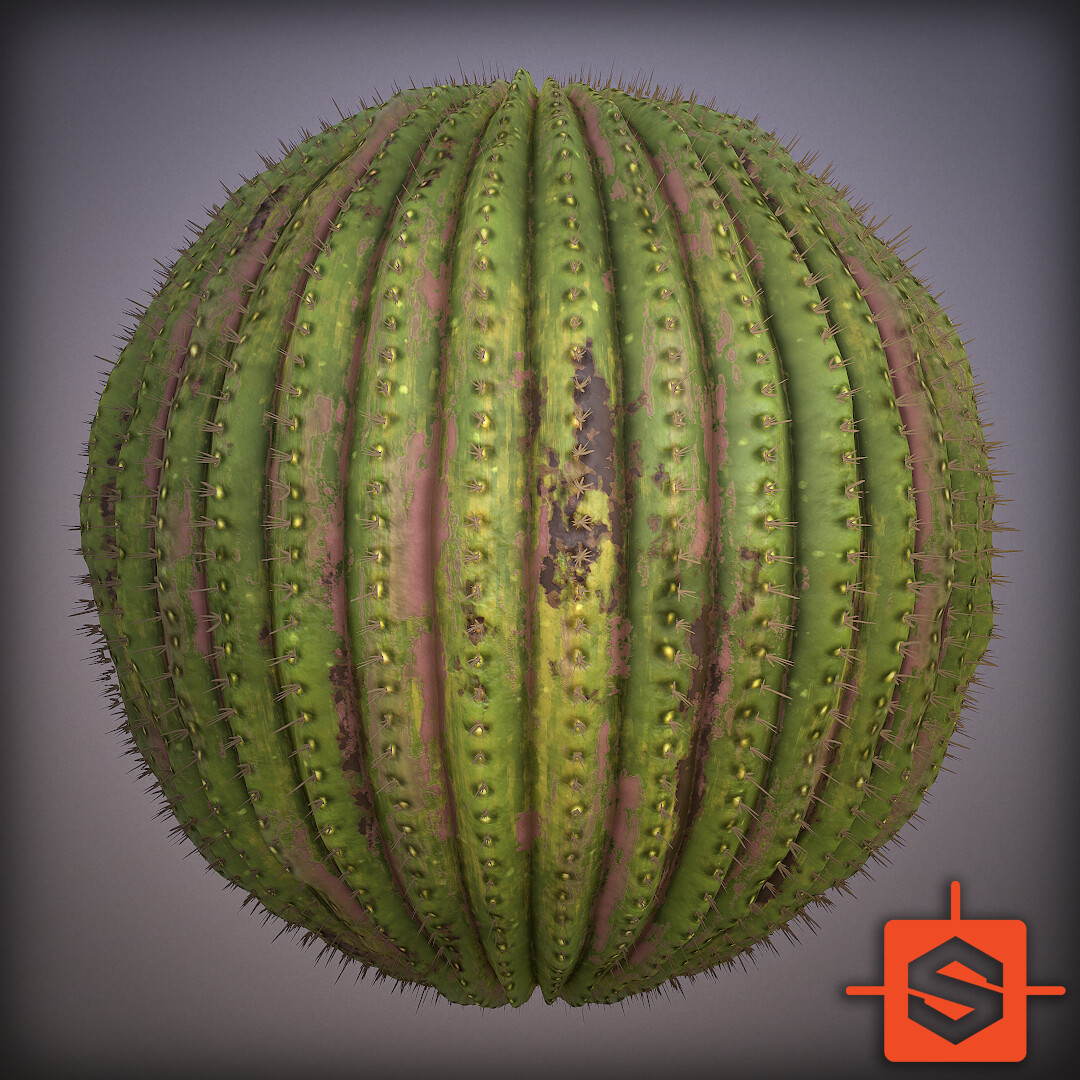 ArtStation - Cactus Material