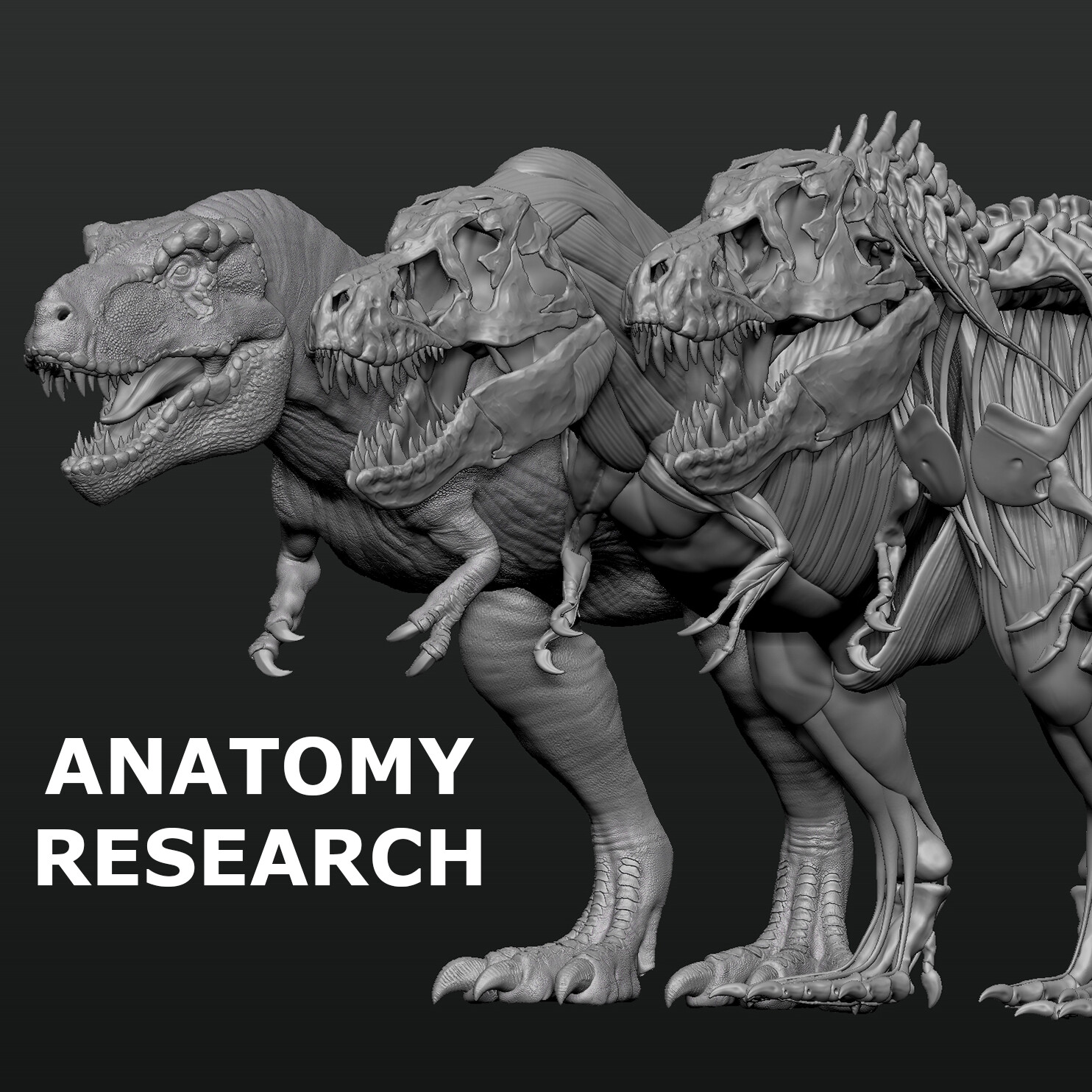 ArtStation - Tyranosaurus Rex Anatomy Research