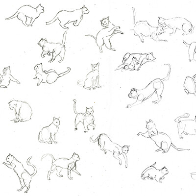 ArtStation - Cat Movement Observation