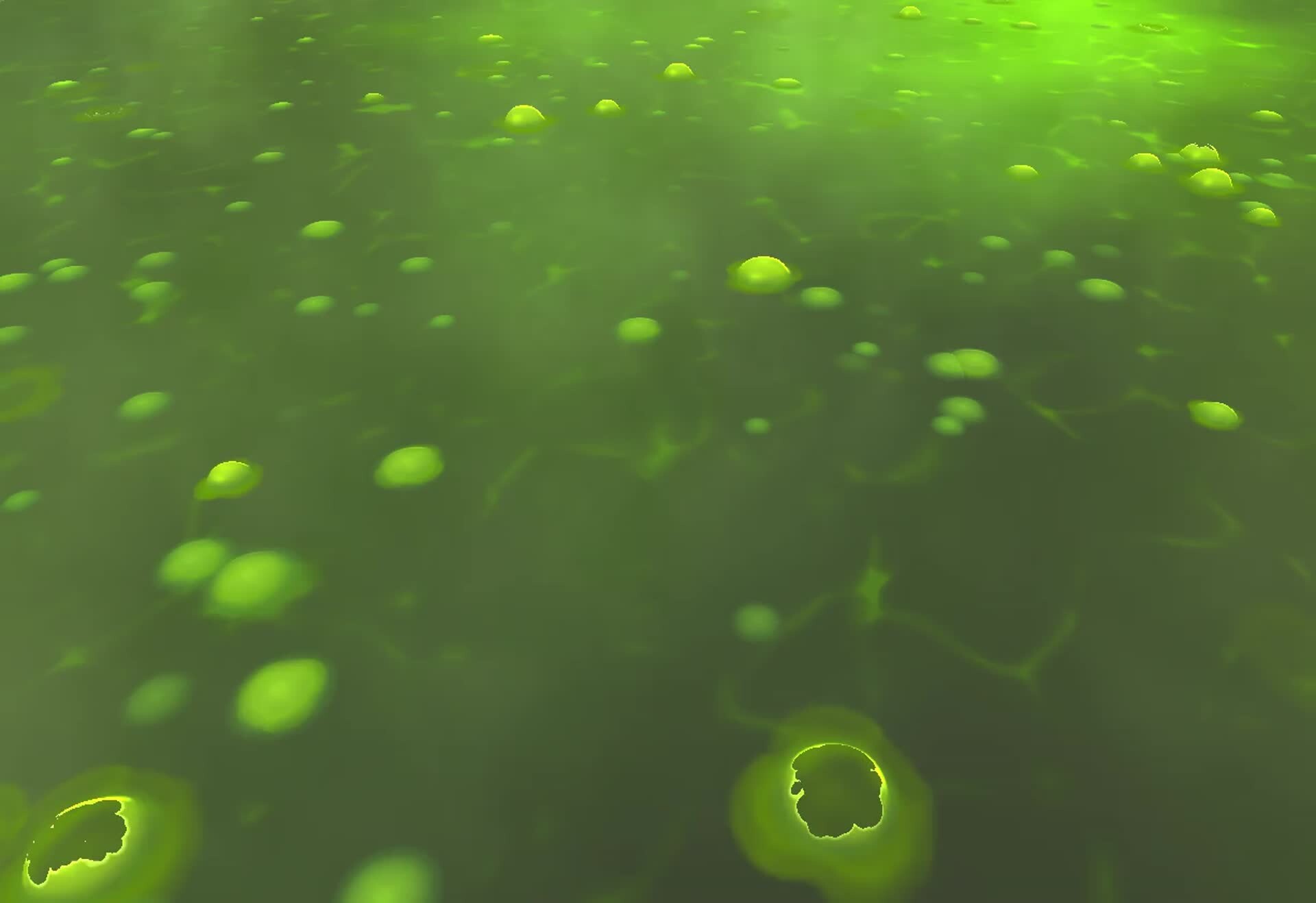 ArtStation - Stylized toxic water realtime VFX