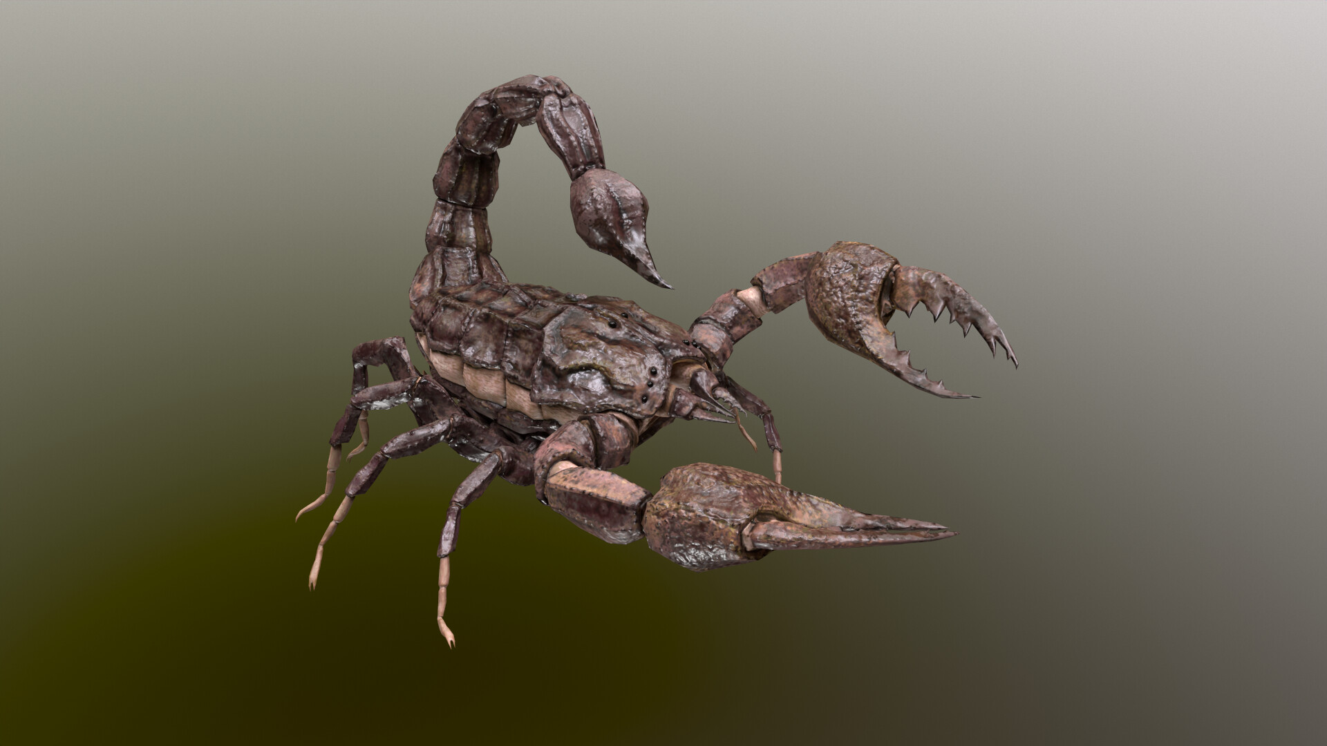 ArtStation - Giant Scorpion