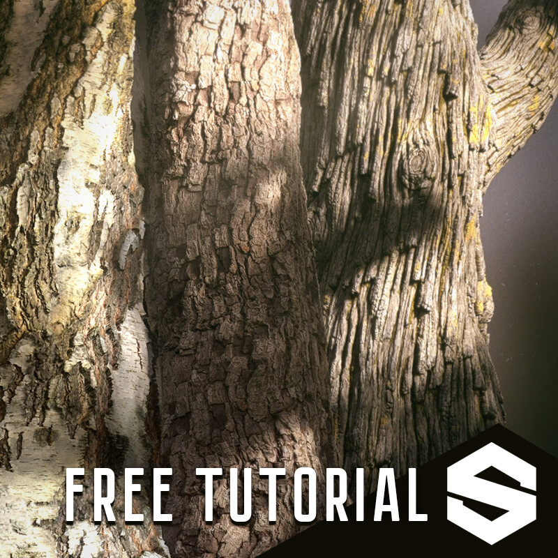 ArtStation - Substance Academy - Tree Bark Tutorial