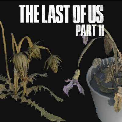 ArtStation - TLOU2: Farmhouse Dead Flowers