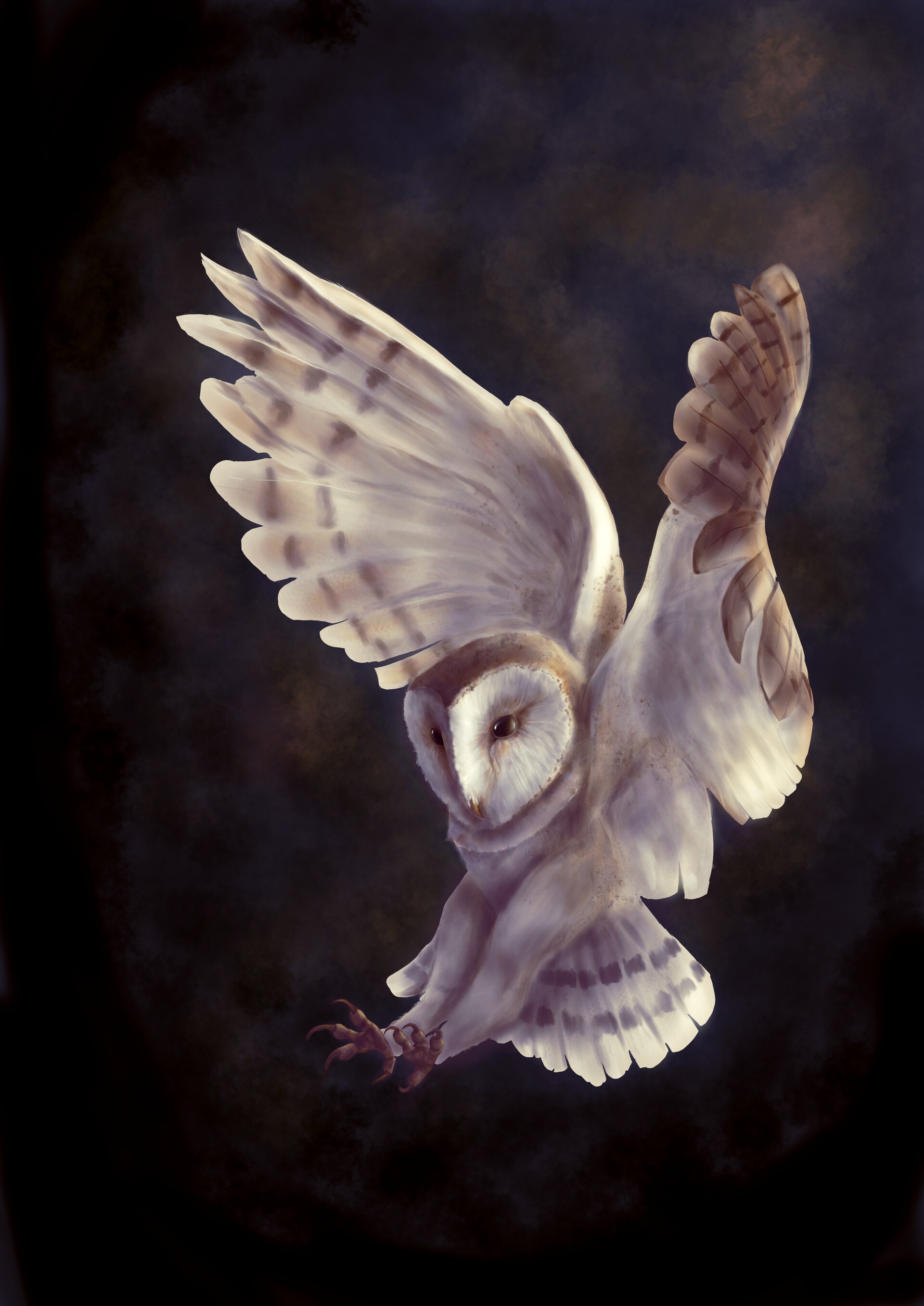 ArtStation - Barn owl. Stolas. Owl.