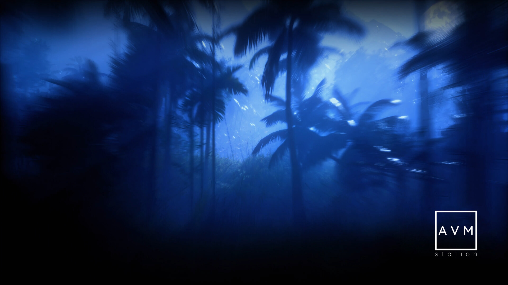 AVM station - Logo Animation for varver picture