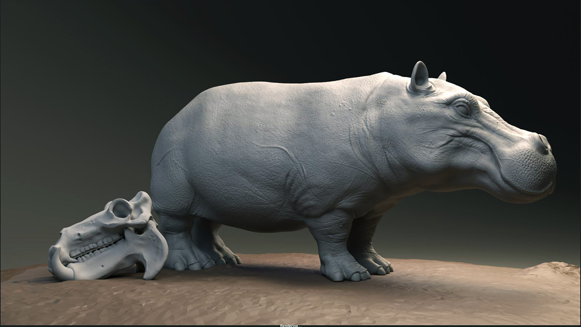 ArtStation - hippopotamus study, Himanshu Aswal