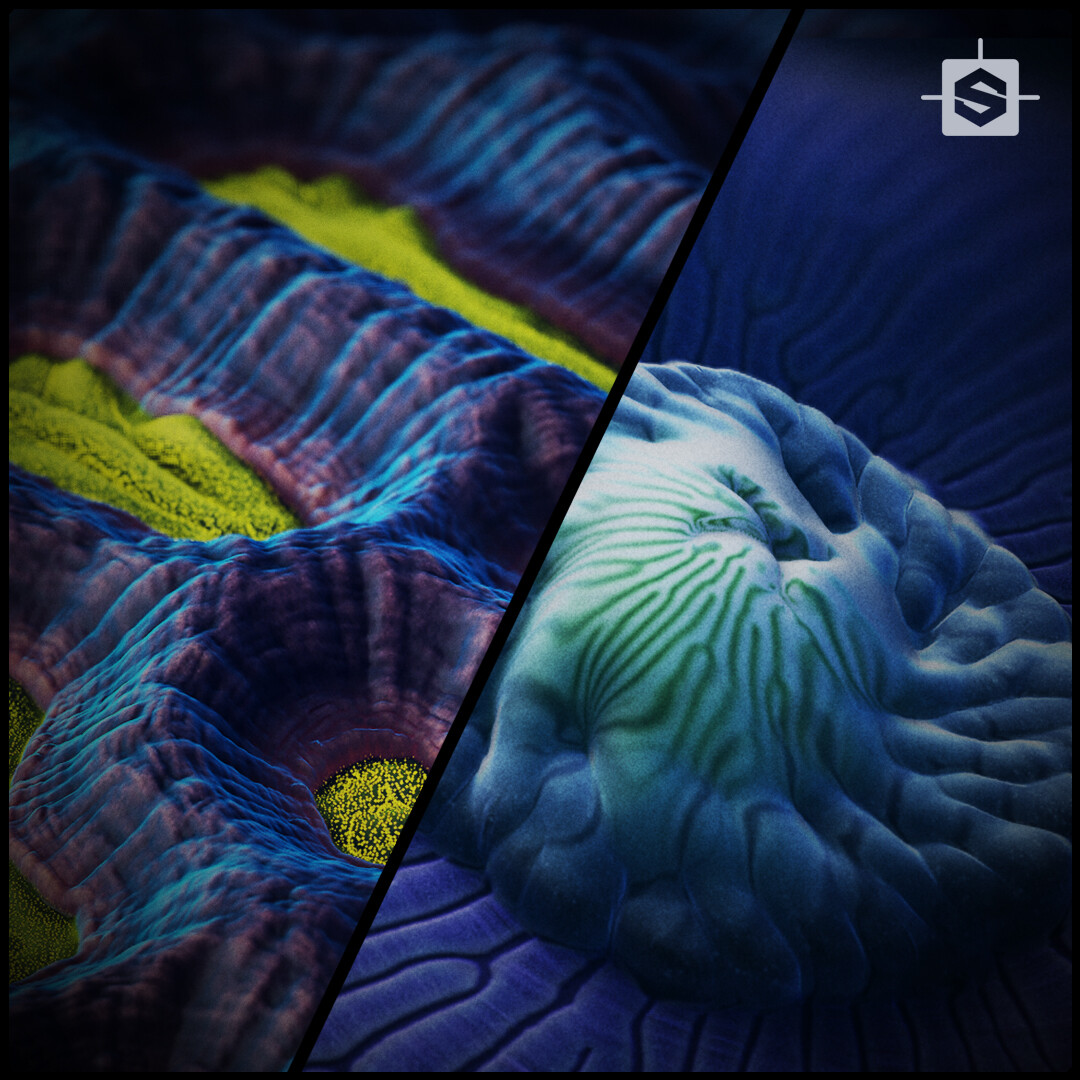 ArtStation - Substance Designer - Corals