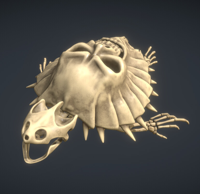 ArtStation - Skeleton Turtle