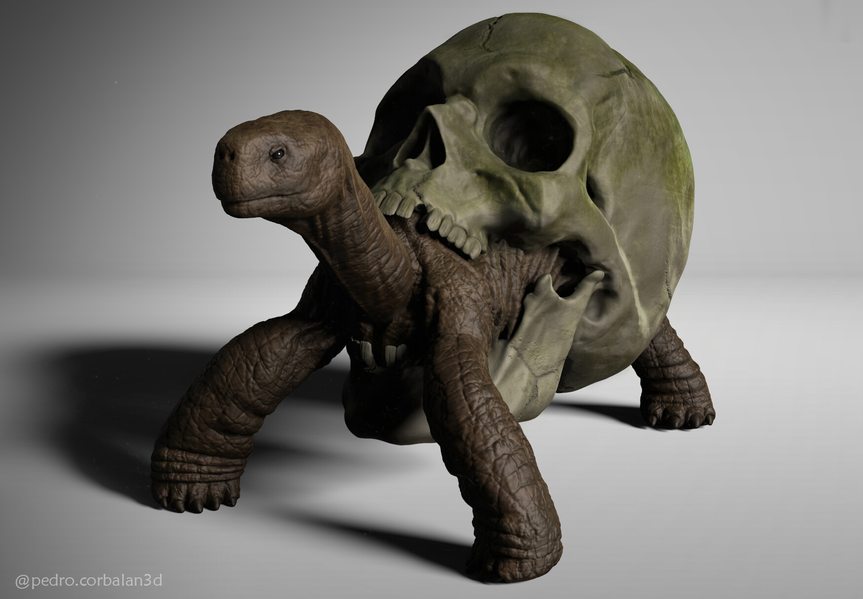 ArtStation - Slow Death (Tortoise)