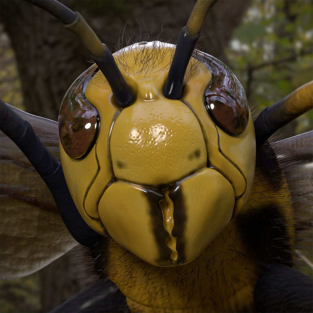ArtStation - Beedrill