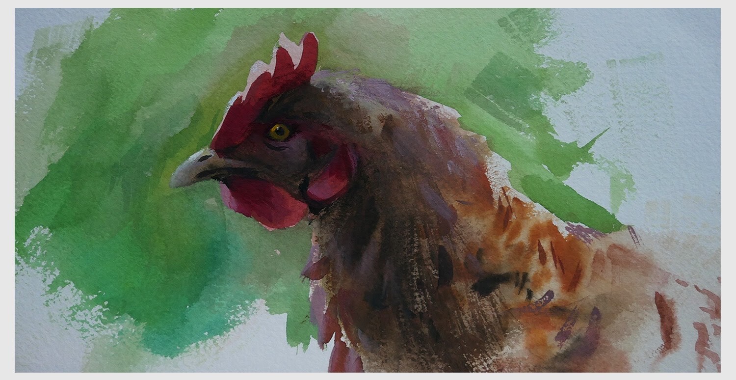 ArtStation - Chicken Study
