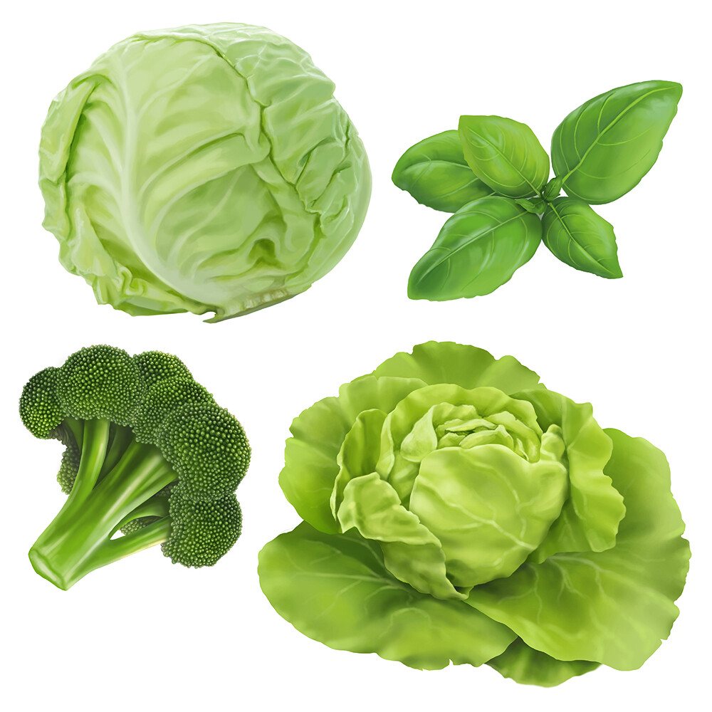 ArtStation - Realistic food illustrations