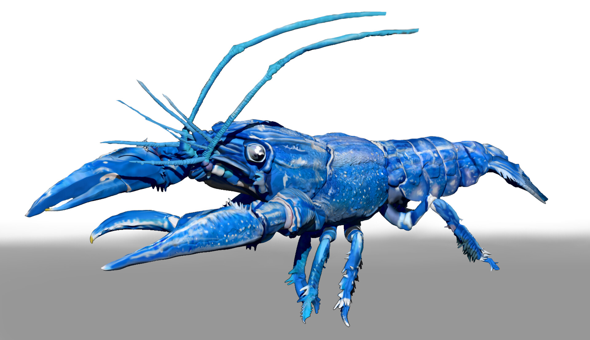 ArtStation - Blue Crawfish